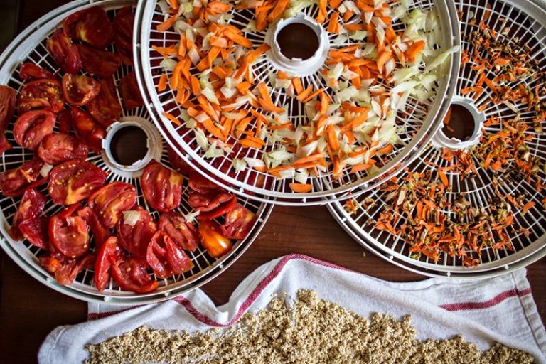 Food Dehydration: What You Need To Know | PressureCanners.com