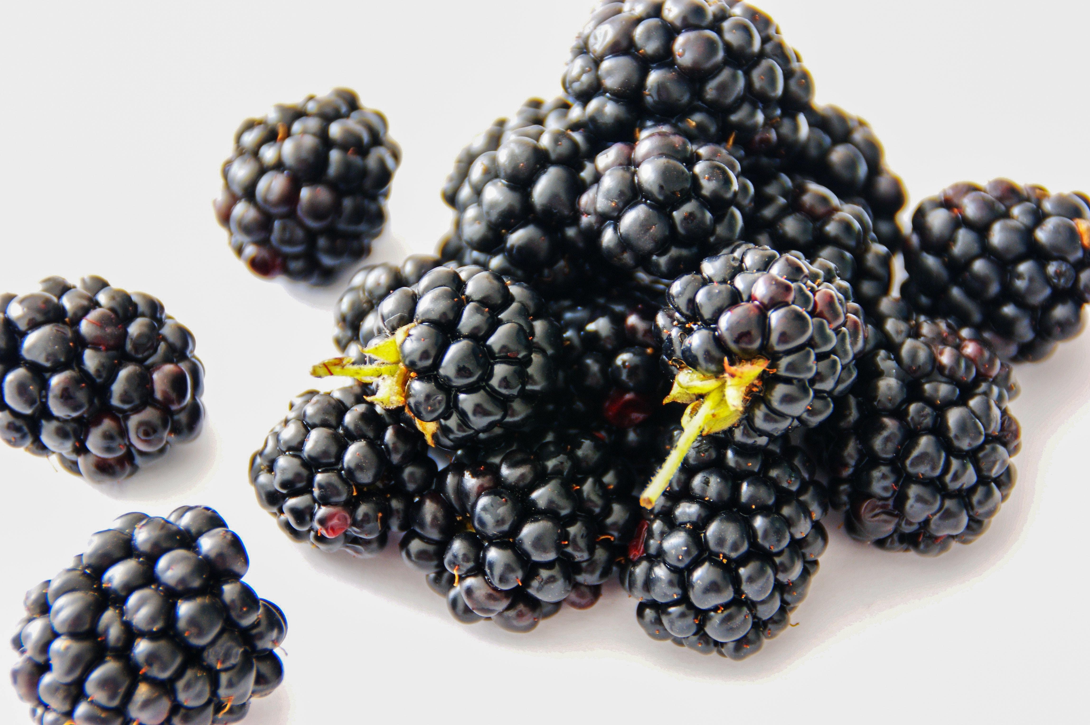 Canning Blackberries - Our Easy How-To Guide | PressureCanners.com